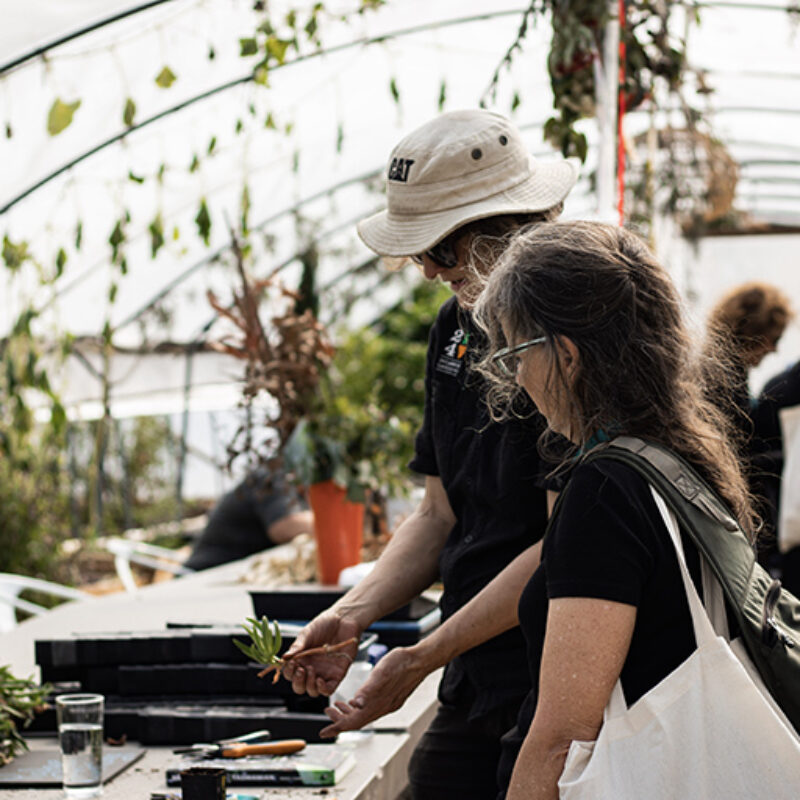 Community Led Collaboration For Climate Justice Collaboration For